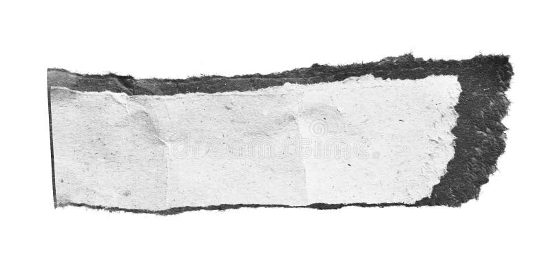 Ripped Paper Transparent Free Texture (Paper) Textures For Photoshop ...