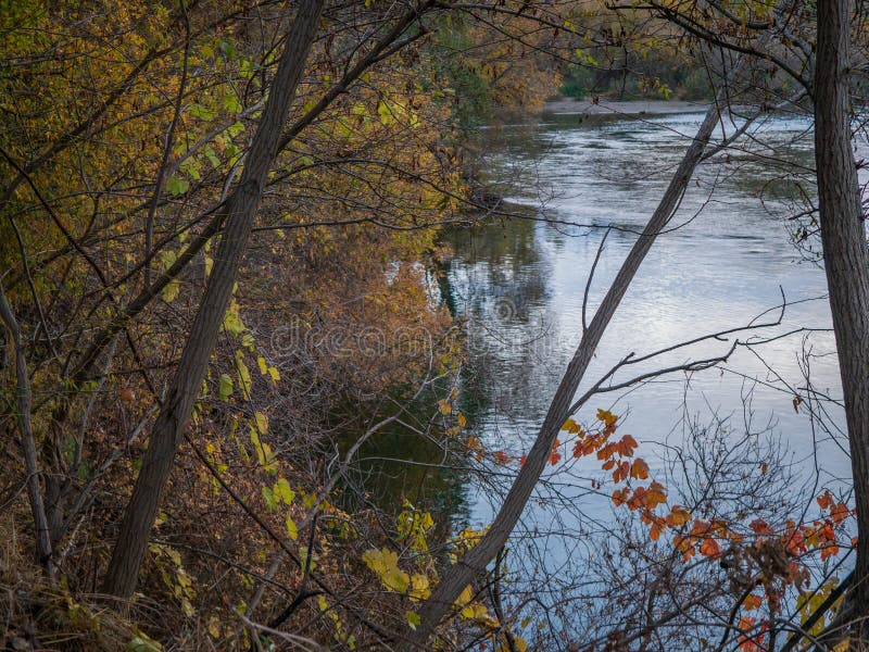 Riparian Forest Color Change in Fall Along River Stock Photo - Image of ...
