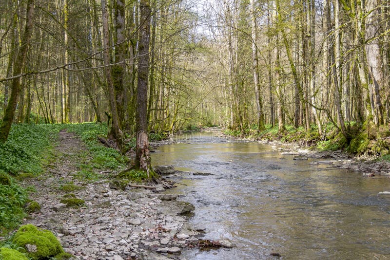 Idyllic River at Spring Time Stock Photo - Image of time, scenery ...
