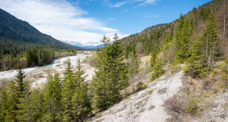 Riparian Zone Obere Isar River, Wild Landscape Upper Bavaria Stock ...