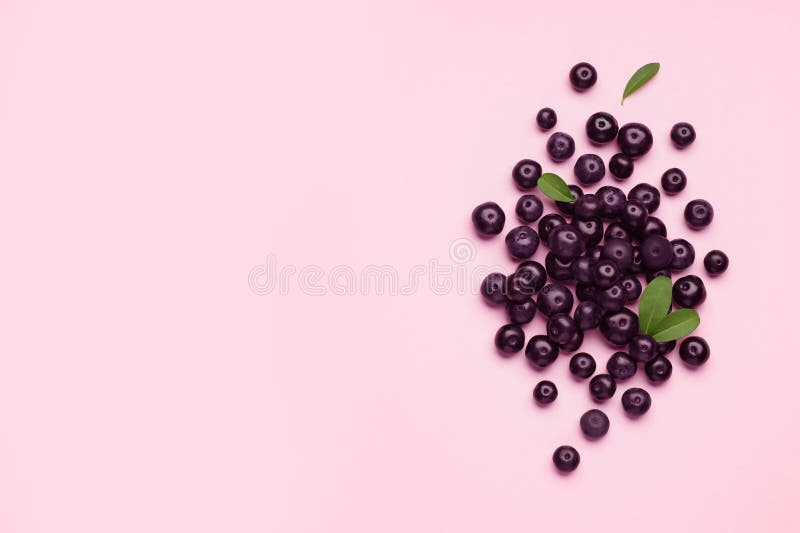 Ripe Acai Berries and Leaves on Pink Background, Flat Lay. Space for ...