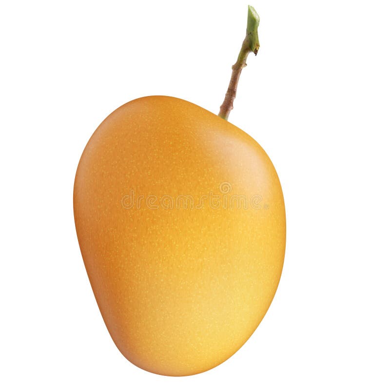 Fresh Alphonso Mango Fruit White Background Stock Photo - Image of ...