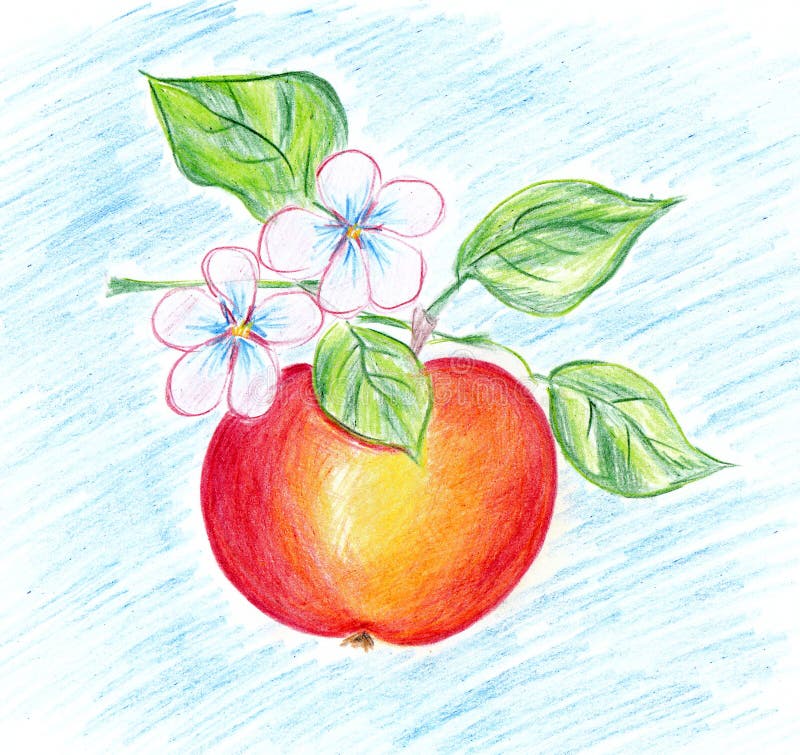 Ripe apple stock illustration. Illustration of branch - 29497400