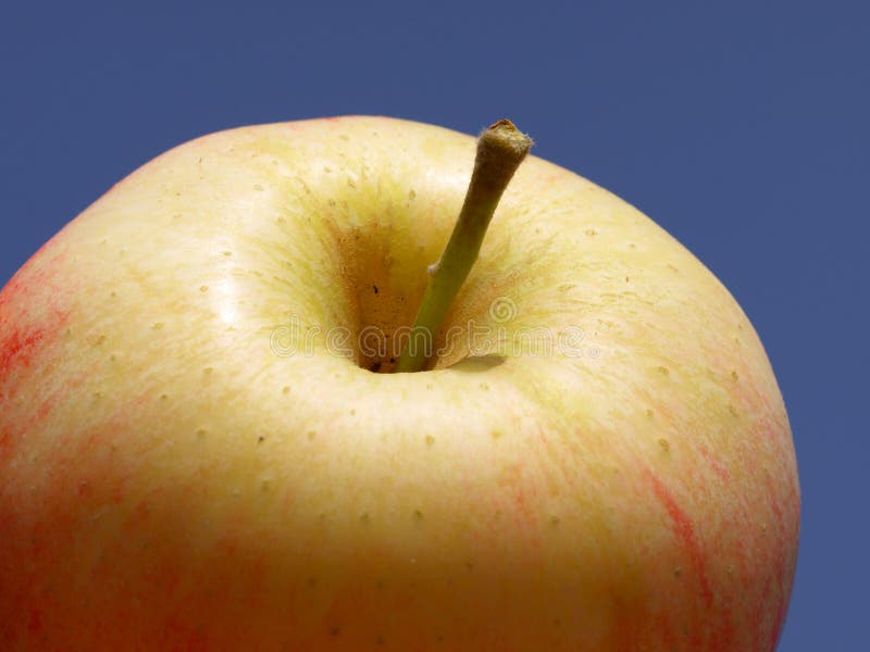 Ripe apple stock image. Image of stalk, details, temptation - 6220385