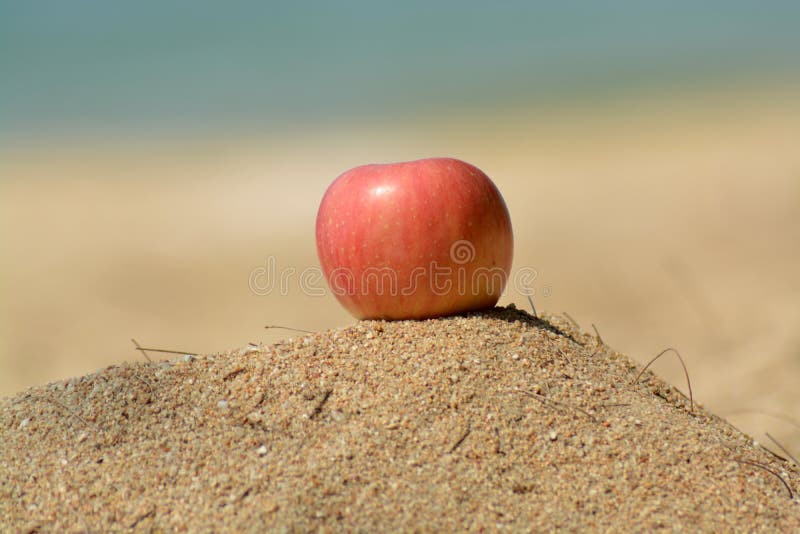 Apple in sand stock photo. Image of facts, photo, calories - 46620832