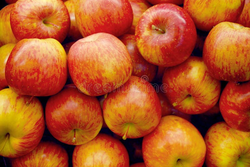 Ripe apples stock photo. Image of apples, stacked, colors - 27522218
