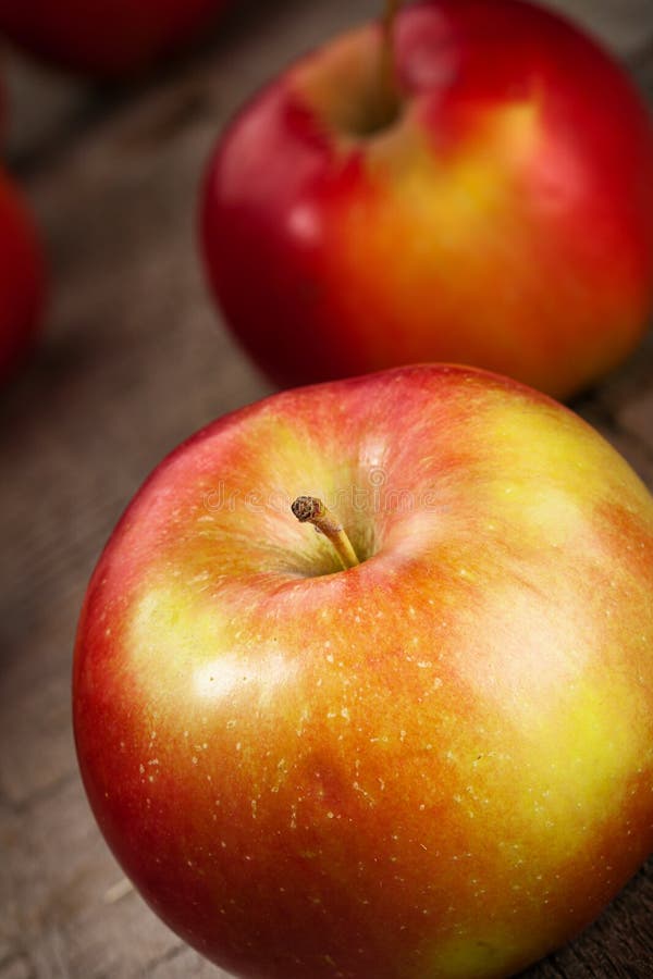 Ripe apples stock photo. Image of eating, ripe, delicious - 31673446