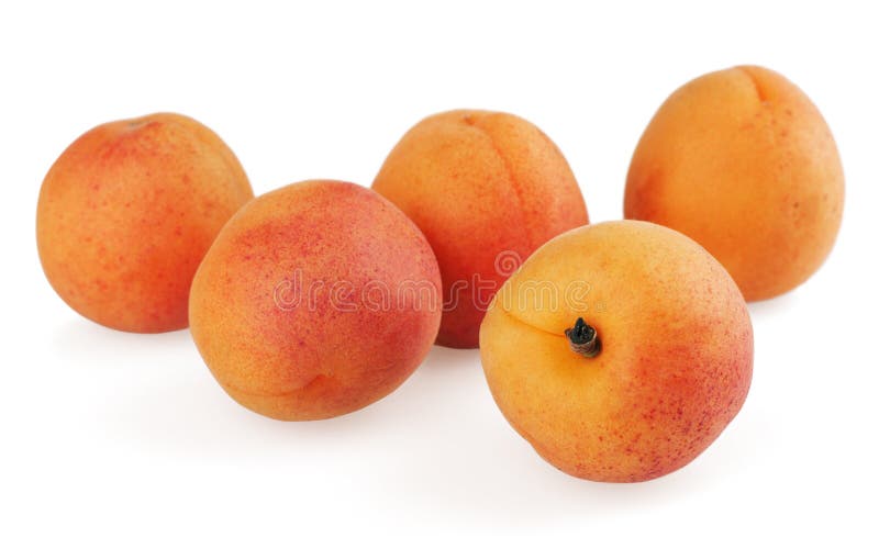 Ripe apricot fruits stock photo. Image of organic, closeup - 21473636