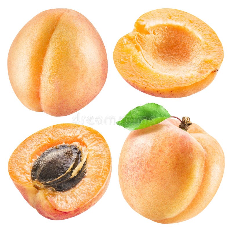 Ripe apricot. stock image. Image of macro, organic, food - 82122527