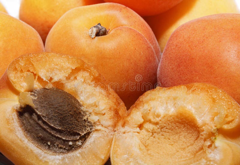 Ripe apricots close up stock image. Image of vitamin - 152516077
