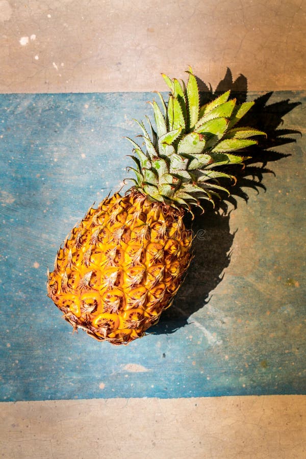 Pineapple Under the Sunlight Stock Photo - Image of life, fresh: 126252018