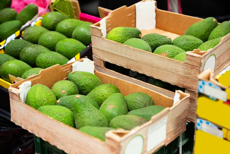 Ripe Avocado Fruit in Boxes at Factory Warehouse Stock Image - Image of ...