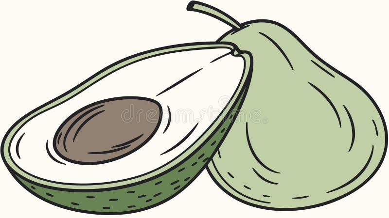 Ripe Avocado Fruit Half Vector Illustration, Vector Design Generative ...