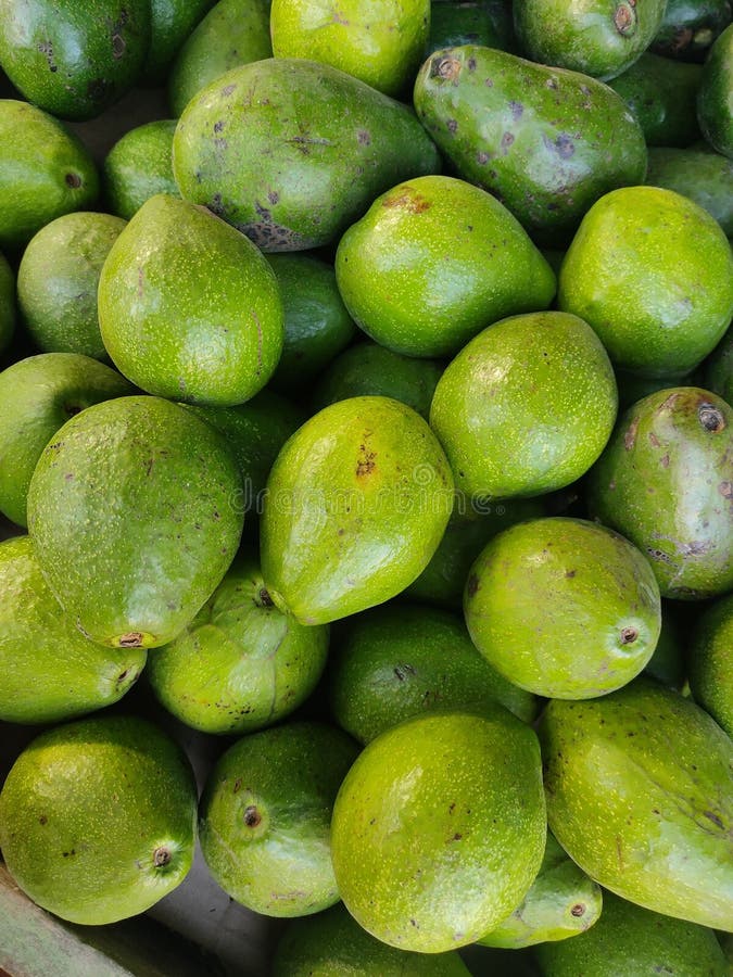 Ripe Avocado on Traditional Market Stock Photo - Image of traditional ...