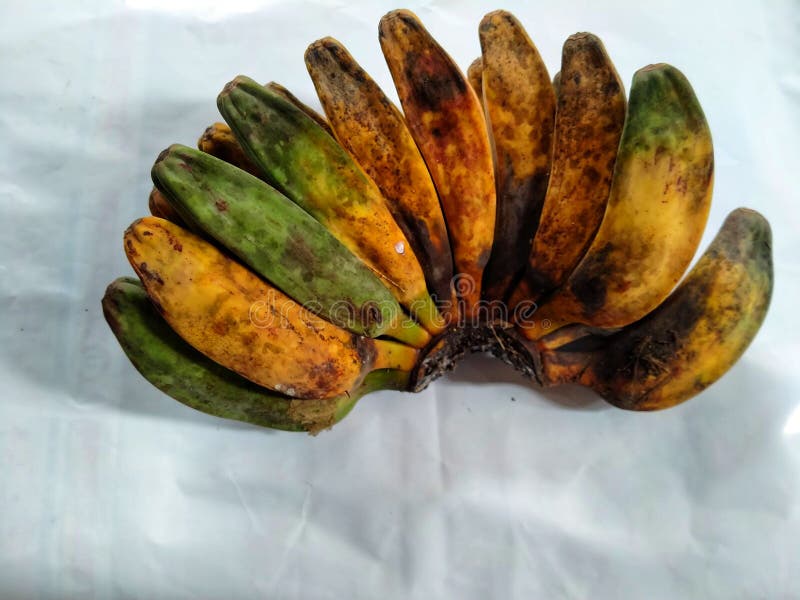 Ripe Bananas Not from the Tree Stock Photo - Image of tree, ripe: 210427070