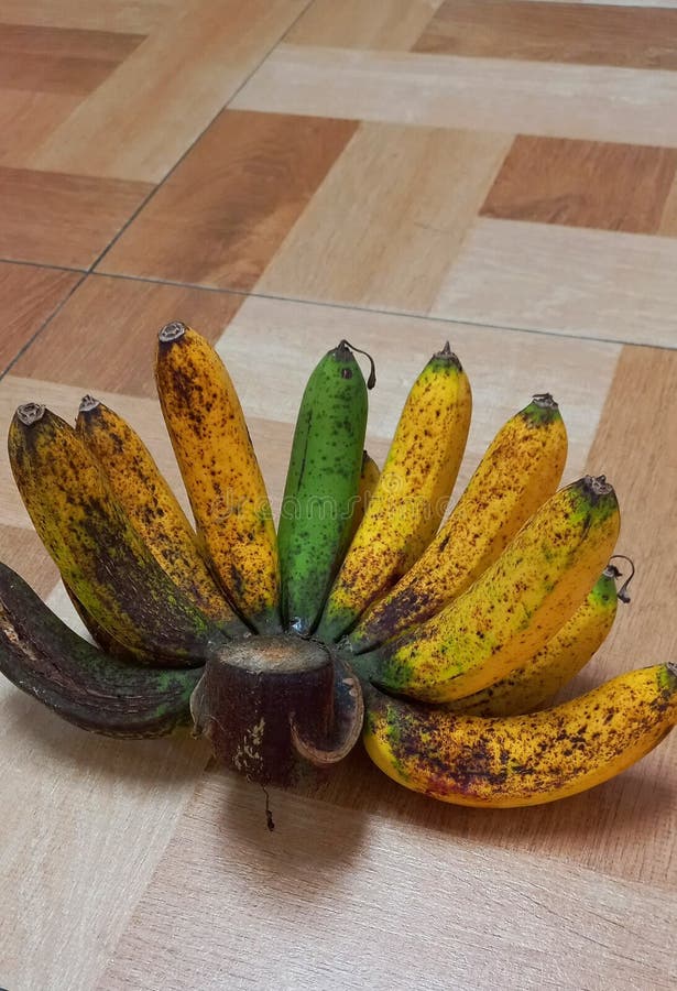 Ripe Bananas on the Tree Taste Good and Sweet Stock Image - Image of ...
