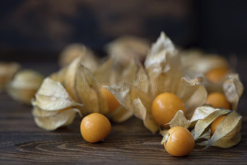 Ripe Berry Physalis in a Box Stock Photo - Image of chinese, cape ...
