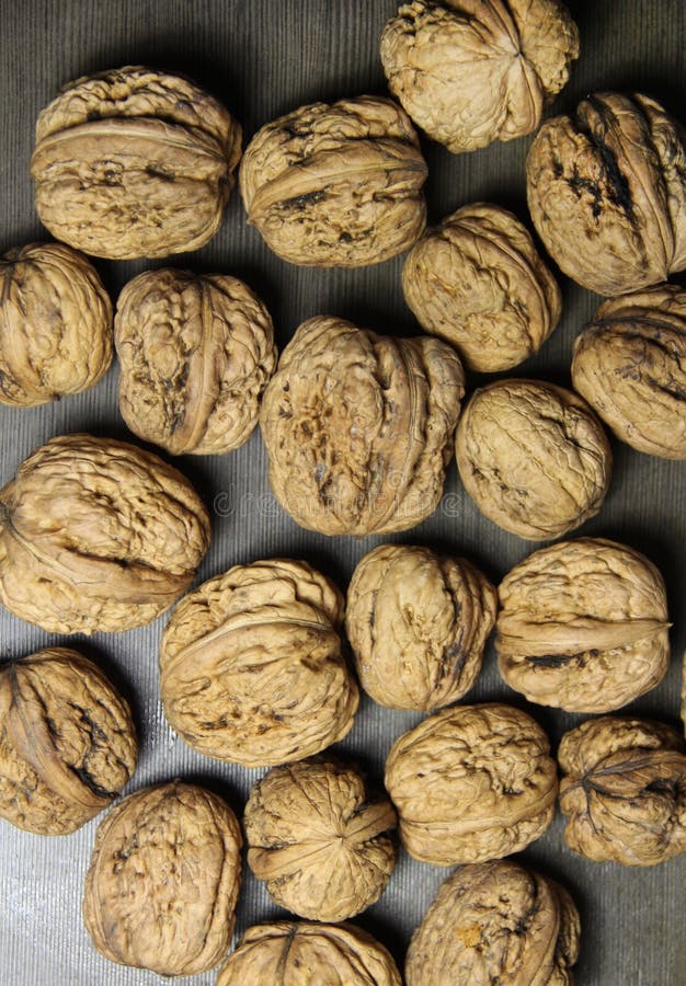 Ripe Big Beautiful Group of Walnuts Stock Image - Image of juglans ...