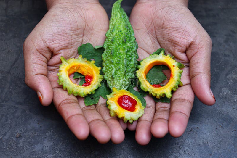 Ripe Bitter Melon with Seeds Stock Image - Image of business ...