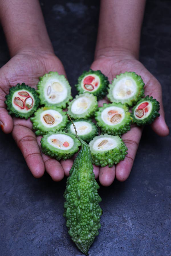 222 Karela Seeds Stock Photos - Free & Royalty-Free Stock Photos from ...