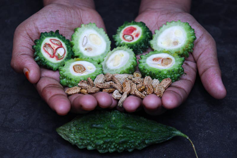 Ripe Bitter Melon with Seeds Stock Photo - Image of closeup, food ...
