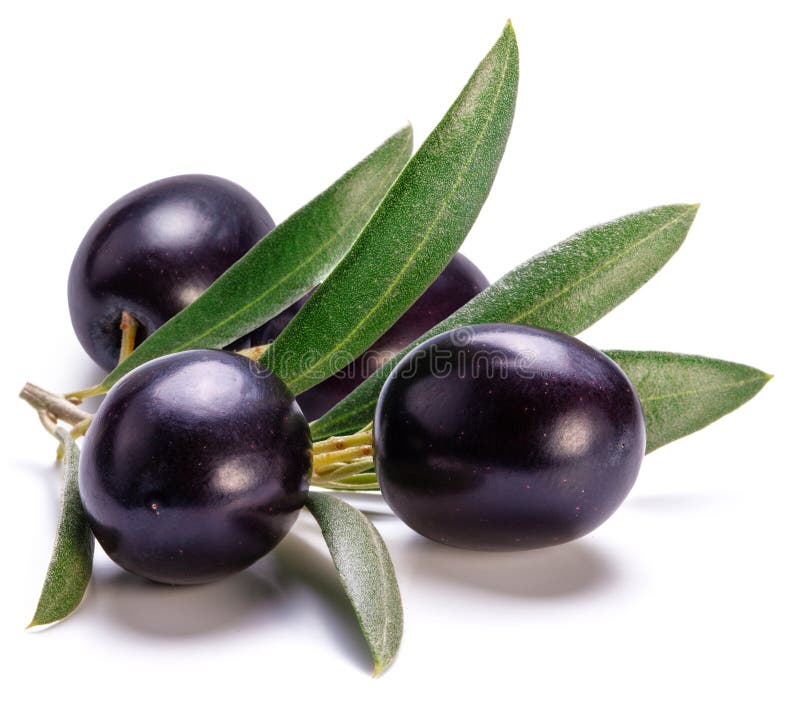 Ripe Black Olive with Leaves. Stock Photo - Image of vegetarian, fresh ...