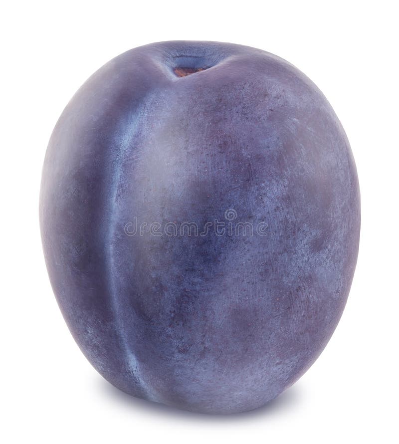 Ripe blue plum isolated stock photo. Image of advertising - 92291922