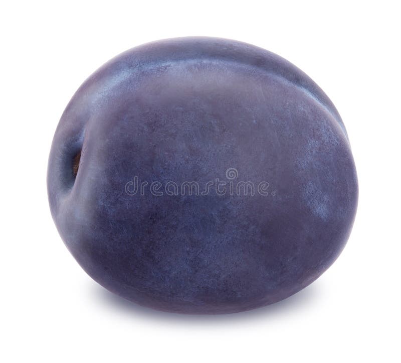 Ripe blue plum isolated stock photo. Image of clipping - 92291926