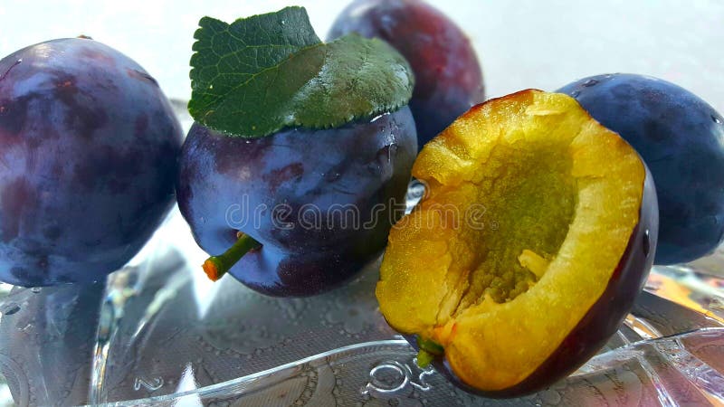 Ripe blue plums image of a stock image. Image of plums - 155932045