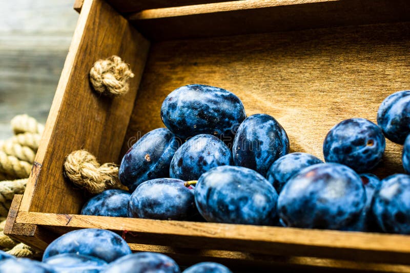Ripe Blue Plums in a Wooden Crate in a Rustic Composition Stock Photo ...