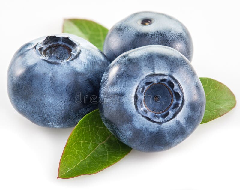 Ripe blueberries. stock image. Image of fruit, wild, nature - 57653575