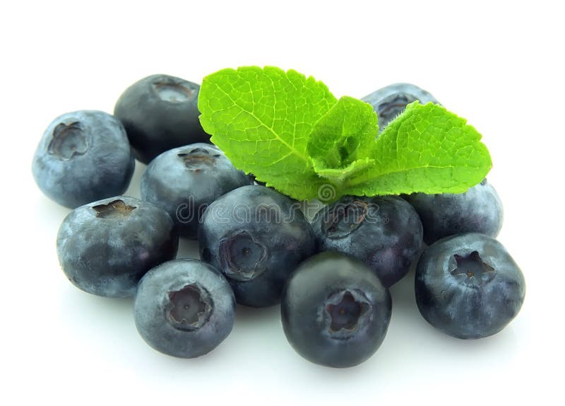 Ripe blueberry with mint stock photo. Image of healthy - 18781504