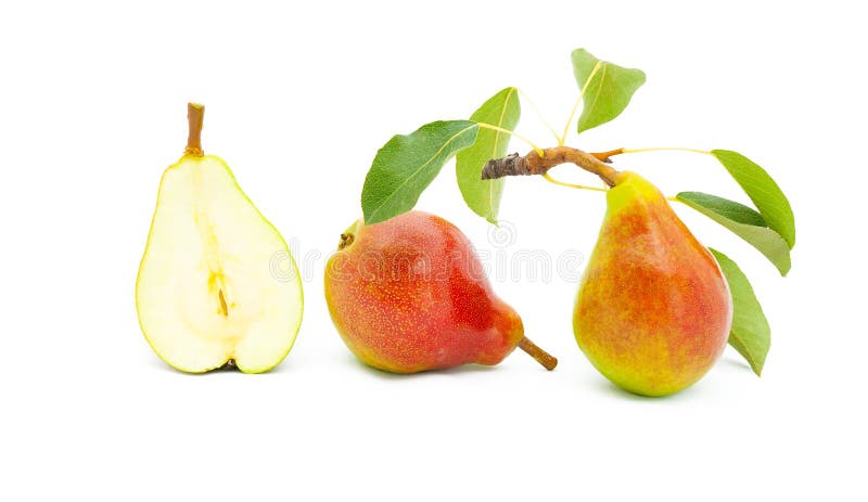 Ripe Bright Pears with Leaves Stock Photo - Image of color, garden ...