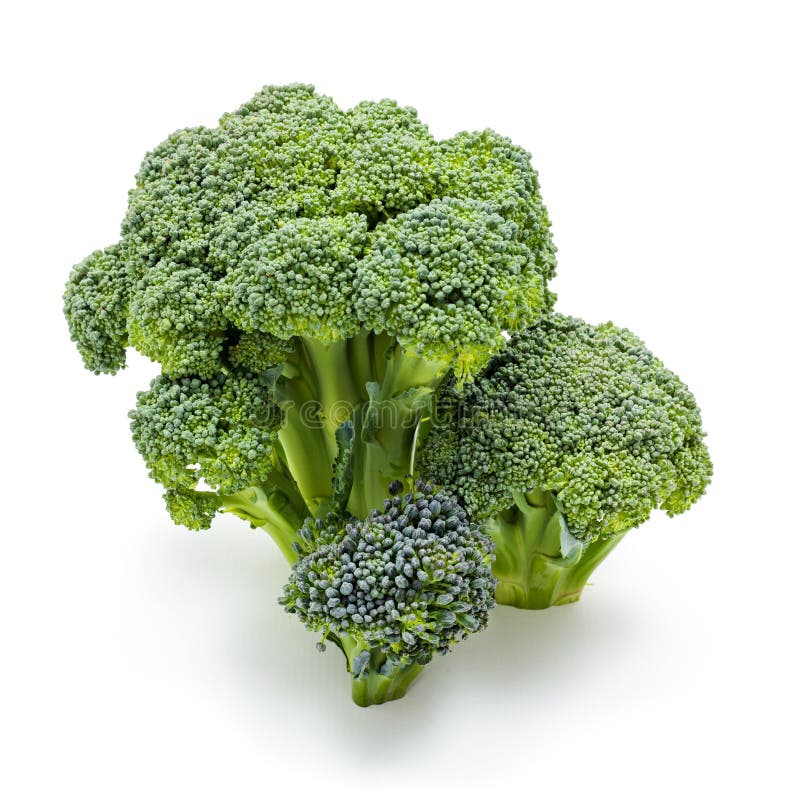 Ripe broccoli crops stock image. Image of broccoli, vegetable - 46906667
