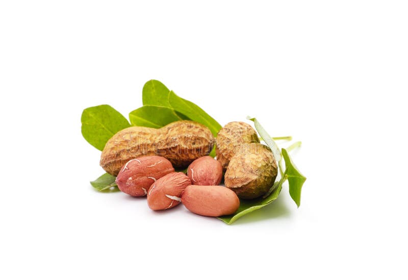 Ripe Brown Peanuts with Leaves Stock Photo - Image of peanut, bean ...