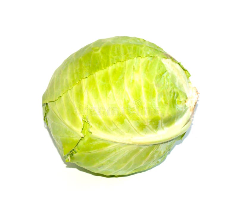 Ripe cabbage stock photo. Image of cabbage, foliage, eating - 27821244