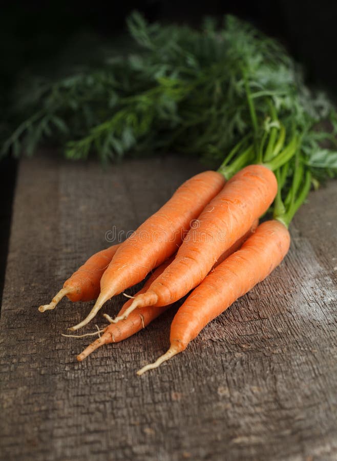 Ripe carrots crop stock image. Image of dirty, small - 83542273