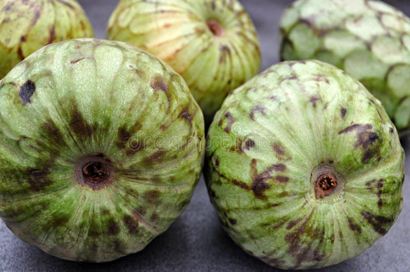 Ripe cherimoya fruit stock image. Image of gray, food - 79240559