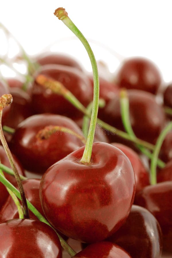Ripe cherries stock photo. Image of dessert, bunch, sweet - 10372858