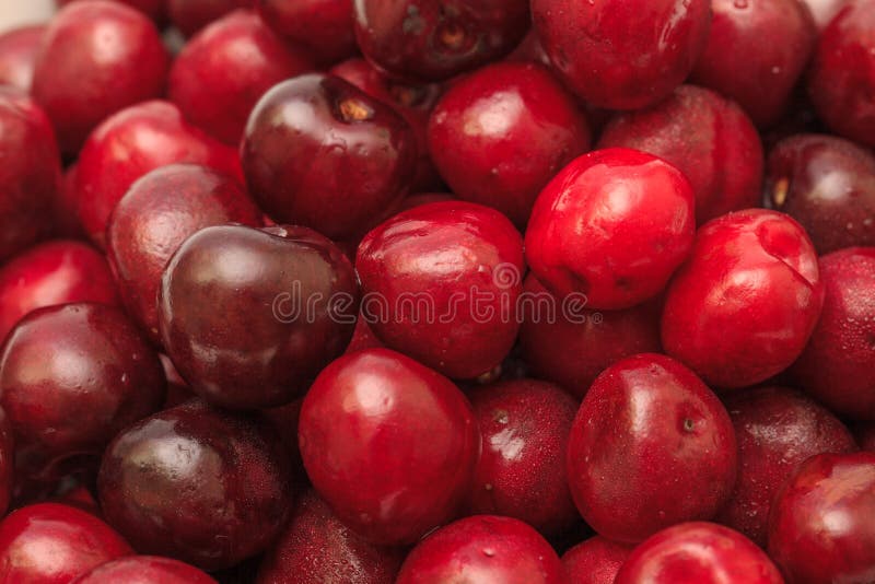 Ripe Cherries stock image. Image of fruit, ripe, fresh - 25618625