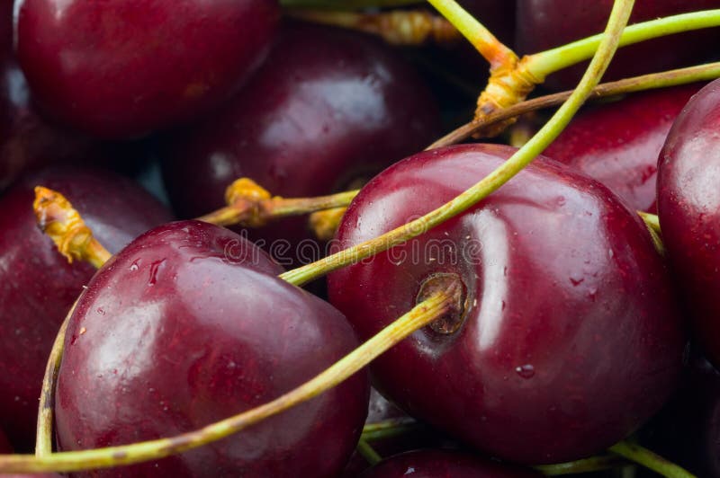 Ripe cherries stock image. Image of freshness, group, bunch - 6957817