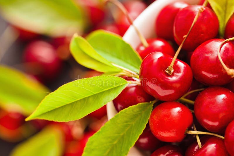Ripe cherries stock image. Image of cherry, bowl, cherries - 56150961