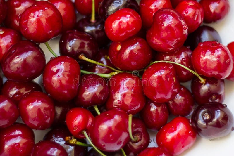 Ripe cherries stock photo. Image of food, ripe, health - 31347266