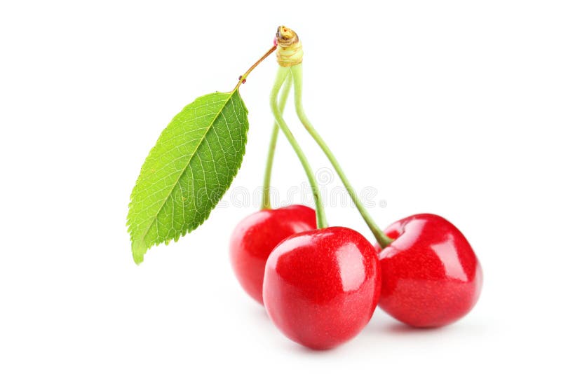 Ripe cherries stock photo. Image of fruit, cherry, closeup - 55114858