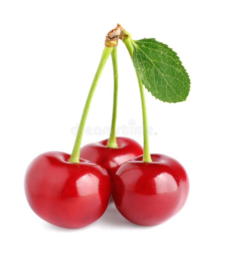 Sweet cherry stock image. Image of sweet, white, isolated - 44064787