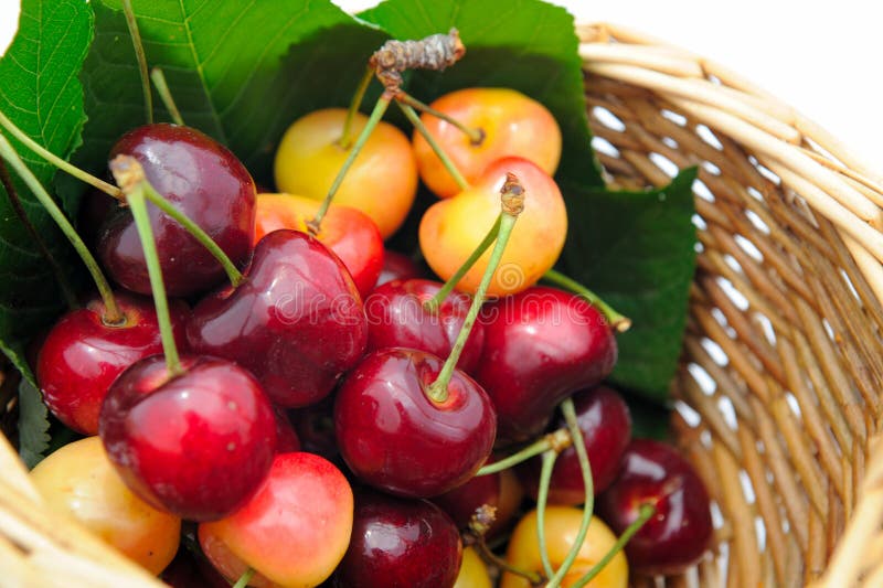 Ripe Cherry stock image. Image of spring, seasonal, food - 9923265