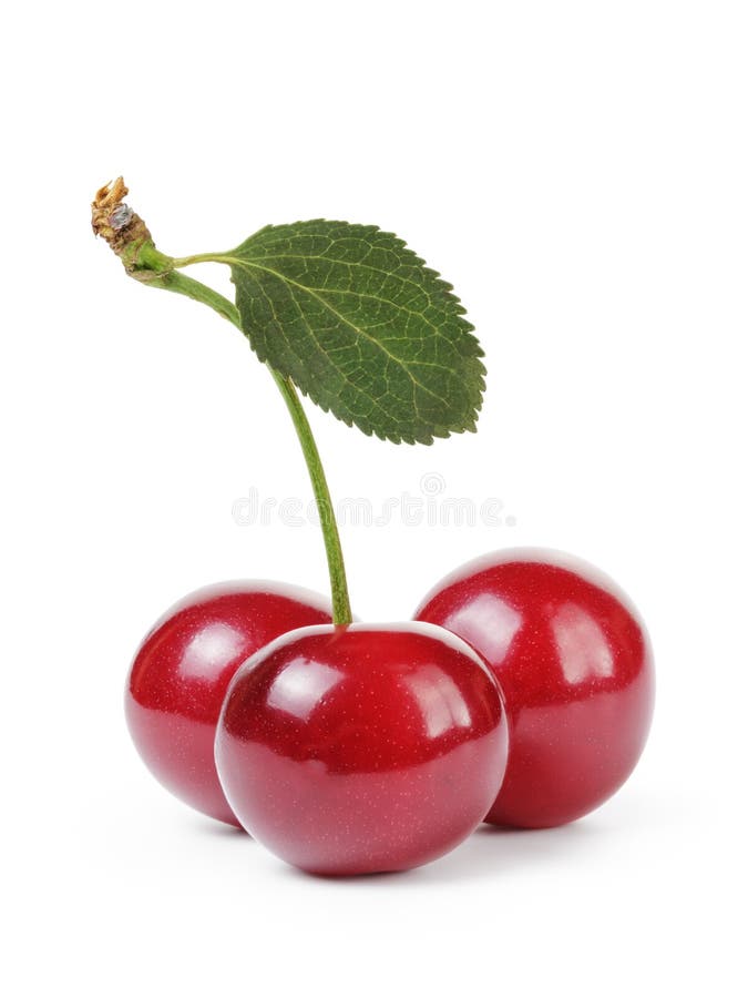 Red ripe cherries stock photo. Image of delicious, group - 33430364