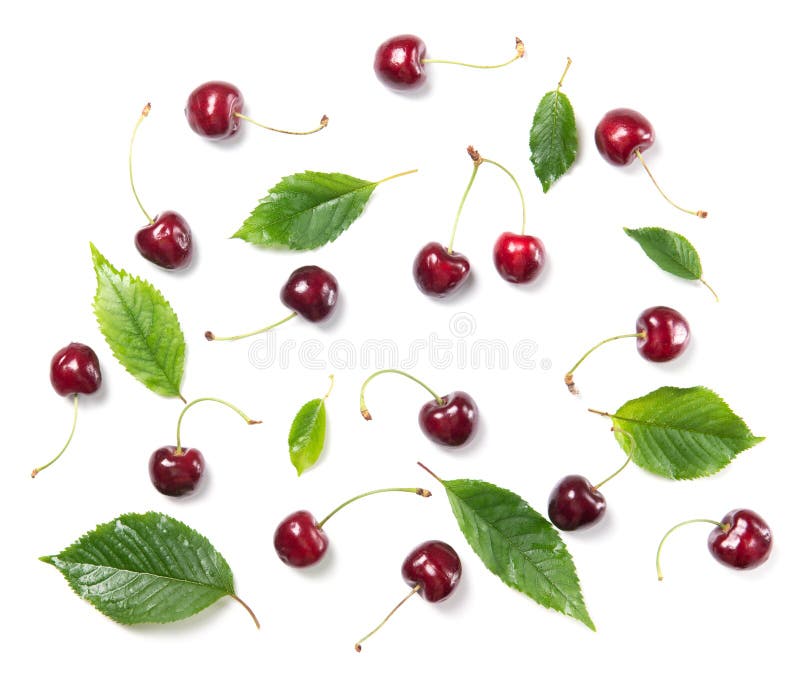 Ripe Cherry Berries and Cherry Leaves Pattern Isolated on White ...