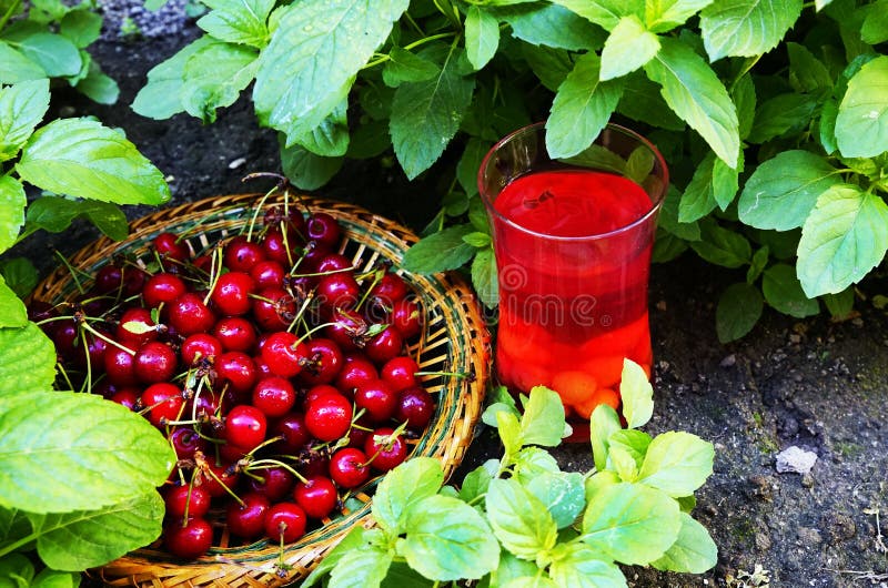 Ripe Cherry and Cherry Drink Green Grass Stock Image - Image of healthy ...