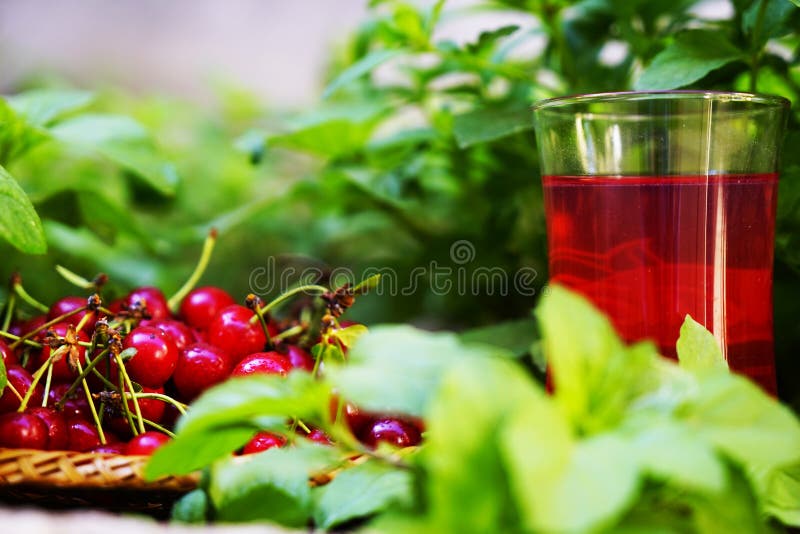 Ripe Cherry and Cherry Drink Green Grass Stock Image - Image of ...